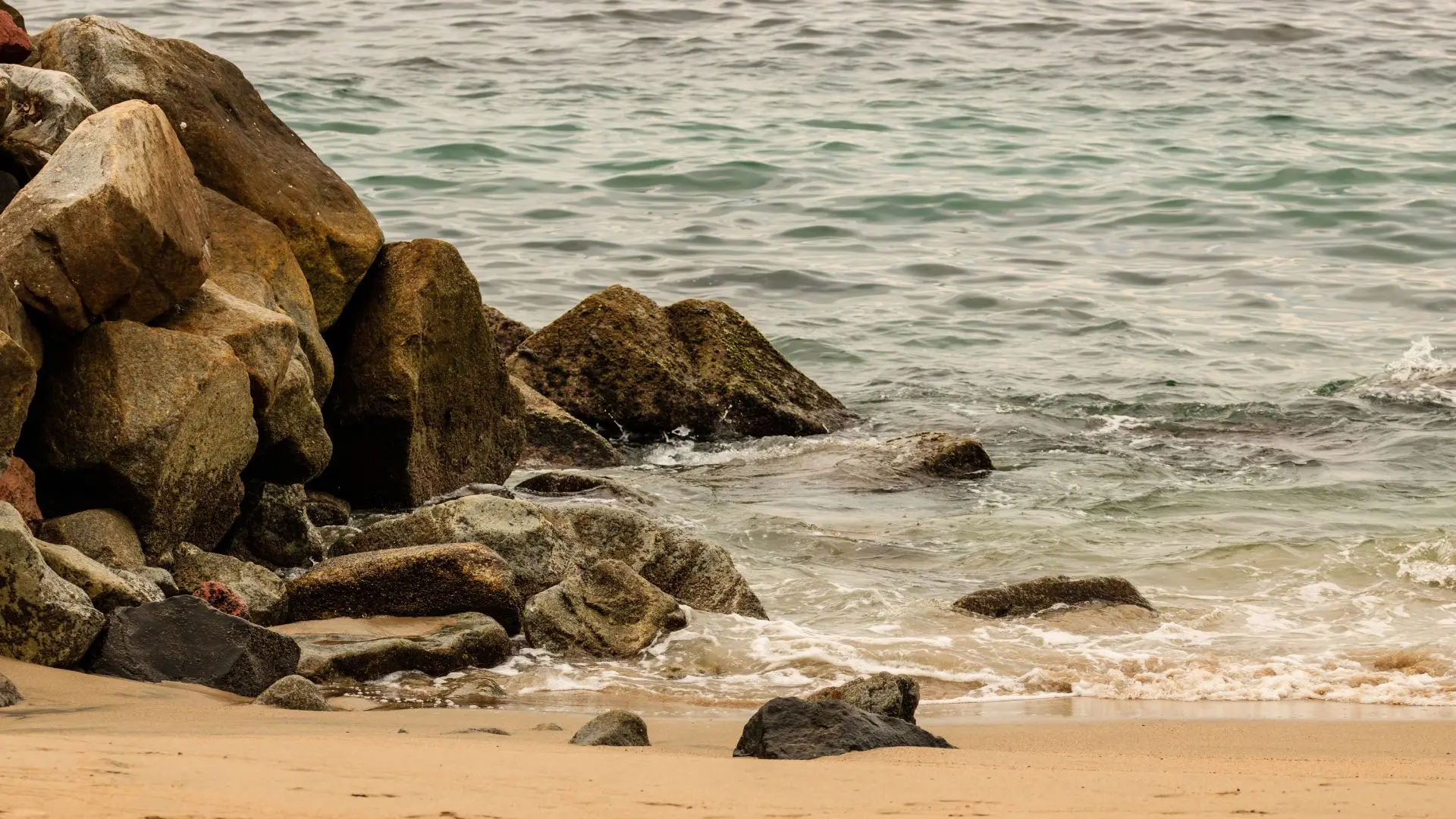 Sail on a yacht to El Chimo | Yachts Vallarta